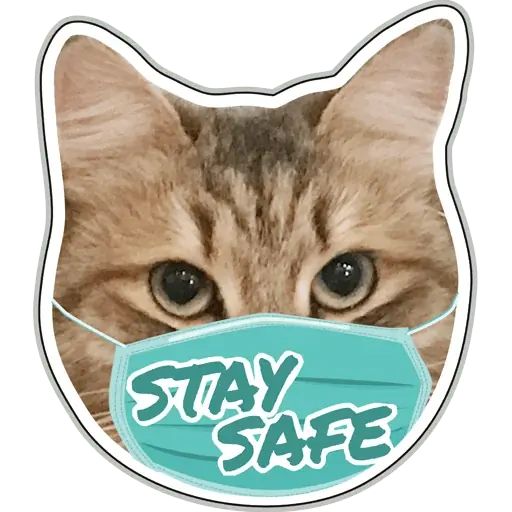 Набор стикеров для Telegram «Сибирская кошечка»