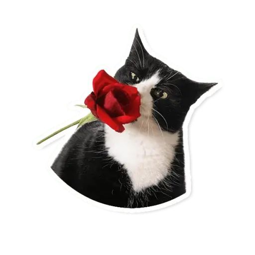 Набор стикеров для Telegram «Милые питомцы»