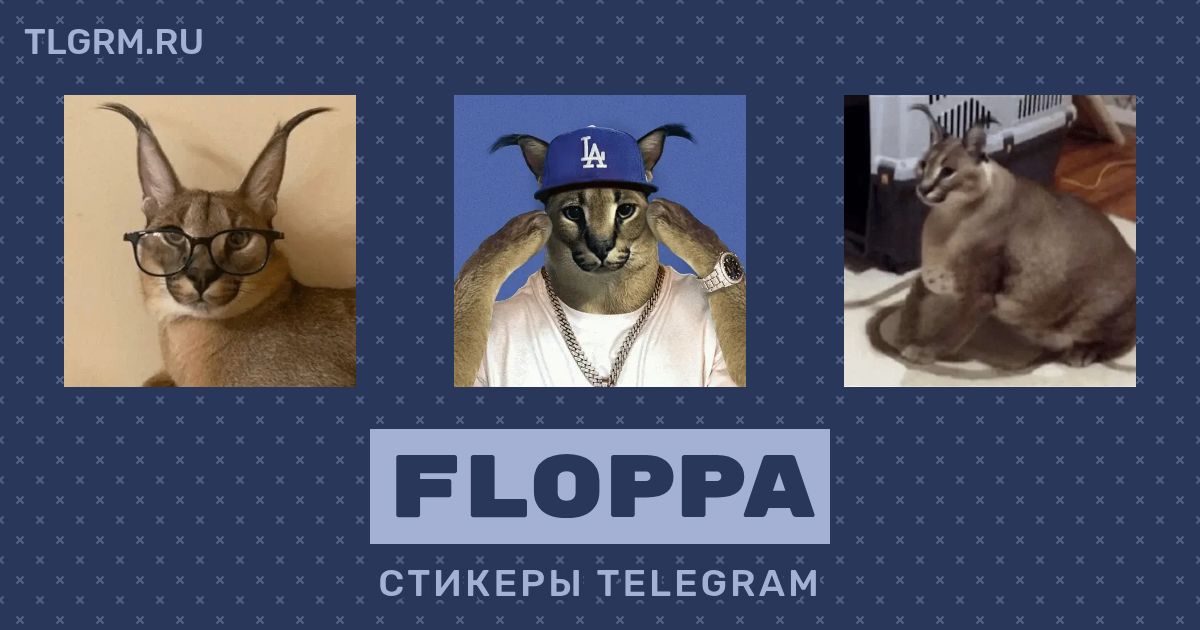 Набор стикеров для Telegram «Floppa»