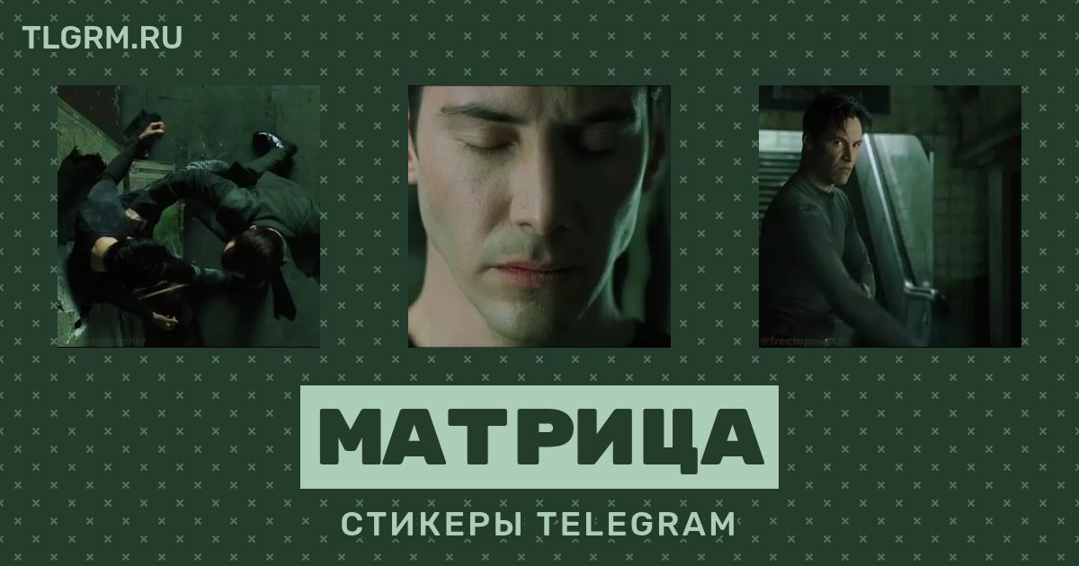 Набор анимированных стикеров для Telegram «Матрица»