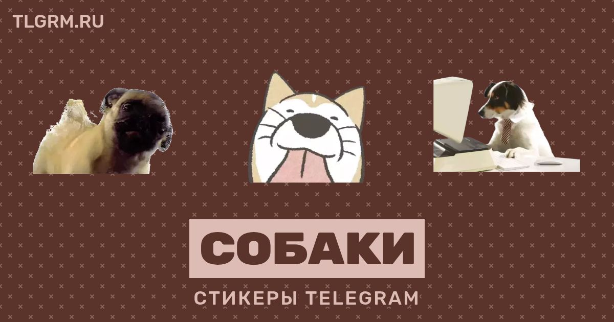 Набор анимированных стикеров для Telegram «Собаки»