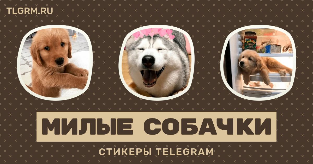 Набор стикеров для Telegram «Милые собачки»